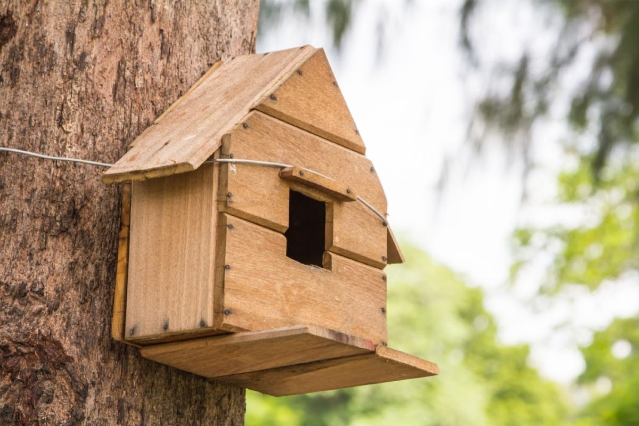 How To Build A Birdhouse | BuildEazy
