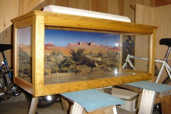 How To Build A Bearded Dragon Cage Out Of Wood | BuildEazy