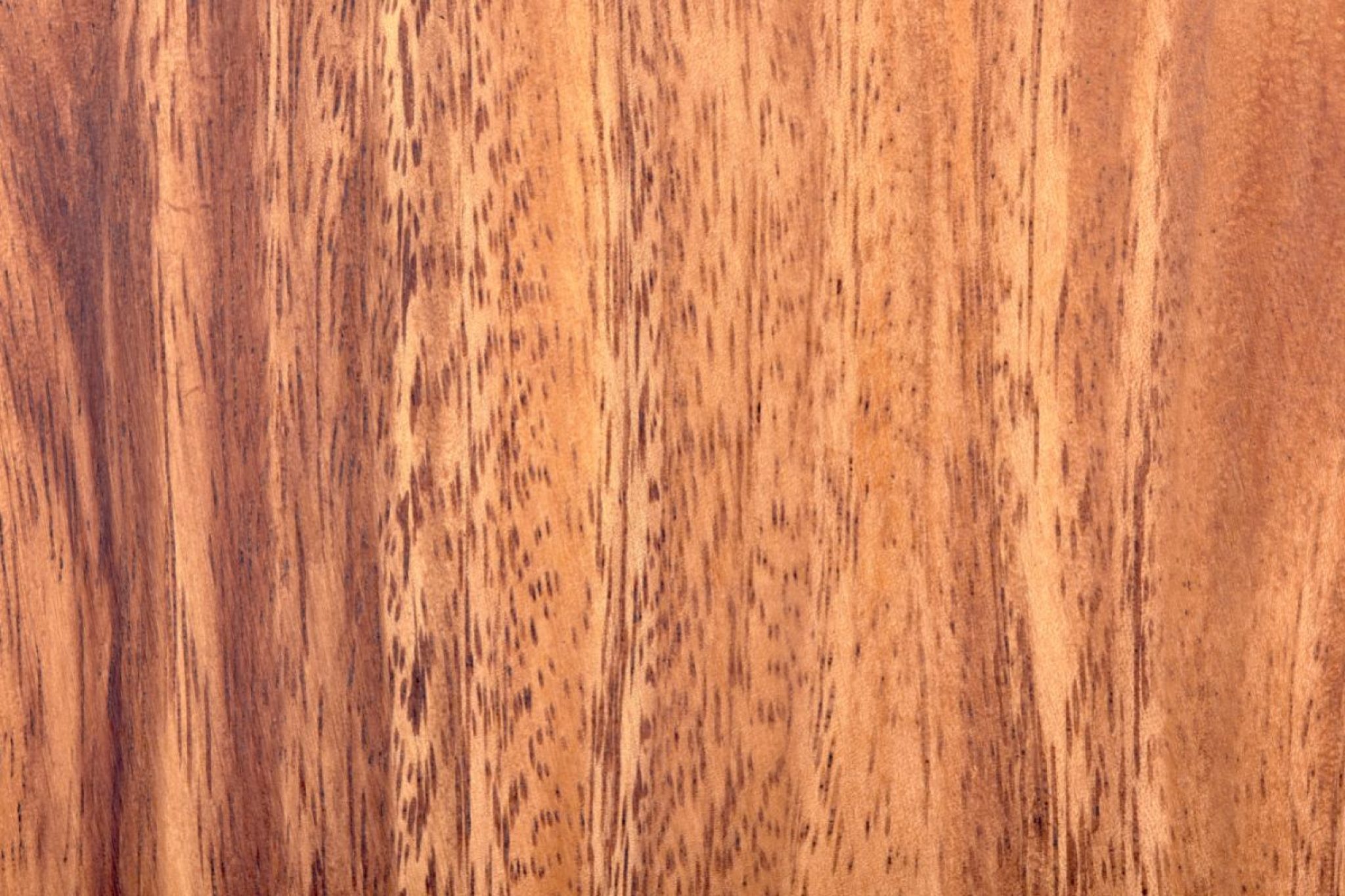 Main Disadvantages Of Acacia Wood | BuildEazy