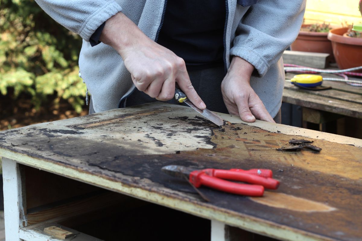 How To Restore Wood Furniture | BuildEazy