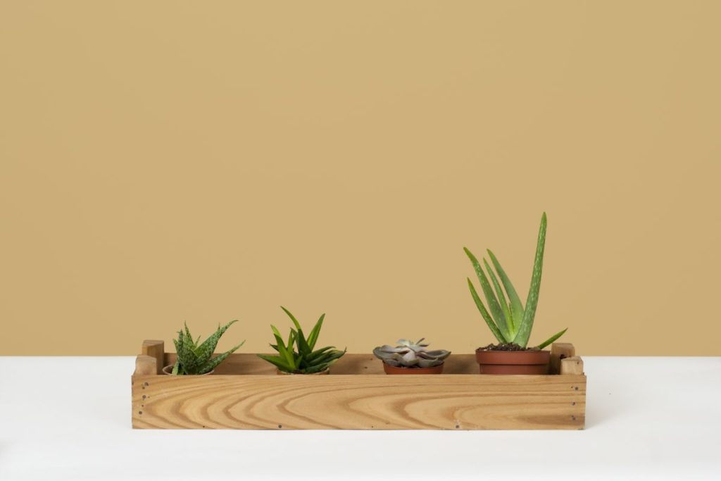 30 Cool And Easy To Make Woodworking Projects With A Router | BuildEazy