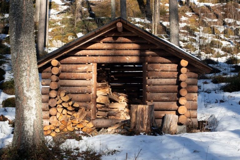 16 Free Firewood Storage Shed Plans | BuildEazy