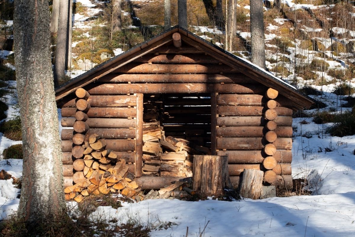 16 Free Firewood Storage Shed Plans | BuildEazy